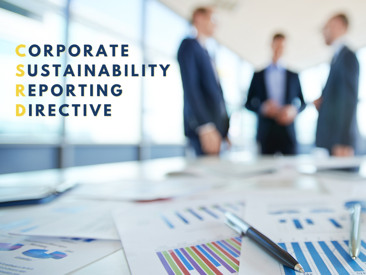 CSRD : une opportunité de transformation portée par l’expertise des consultants indépendants ...